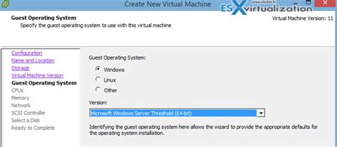 Windows Server Hyper V On VMware ESX Virtualization