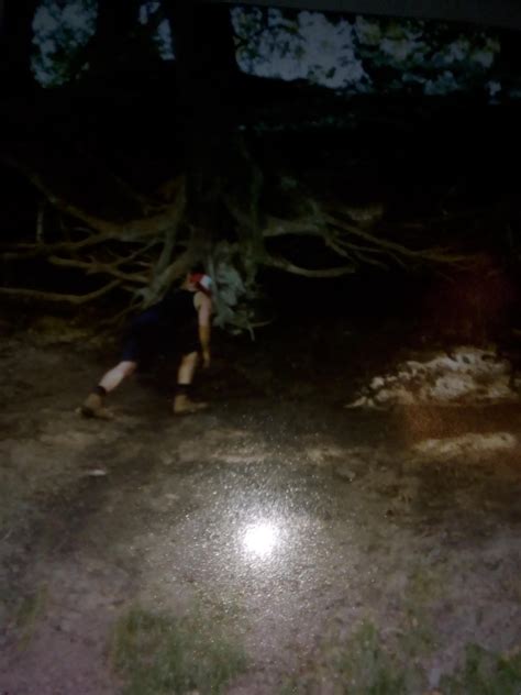 These Tree Roots R NatureIsFuckingLit