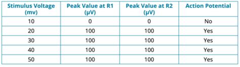 Phsiolab Exercise 3 Activity 3 The Action Potential Threshold Flashcards Quizlet