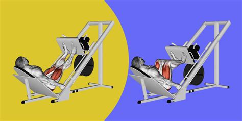 همه چیز درباره حرکت پرس پا دستگاه آموزش انواع حرکات پرورش اندام و