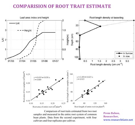 How To Calculate Plant Root Length Using Plant Root Length Density