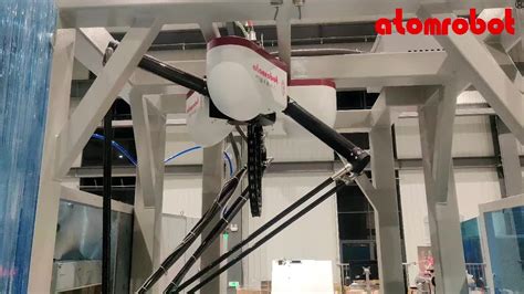 Leo Zhang On Linkedin Atomrobot Robot Pickandplace Trayloading Casepacking Endofline…
