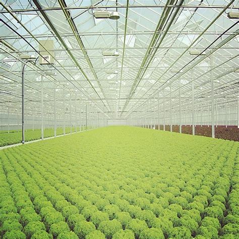 supply complete horizontal hydroponic system wholesale factory tianjin yuanxintai industry co