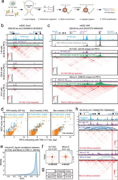 Mapping Genome Wide Regulatory Interactions At High Resolution By Download Scientific Diagram