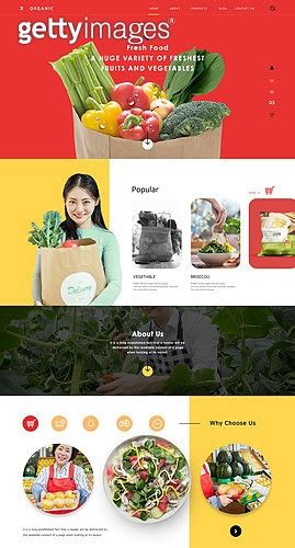 웹템플릿 메인페이지 이미지 웹사이트 인터넷 유기농 주제 채소 음식 채소 산지직송 배달 이미지 Jv12202921 게티이미지뱅크