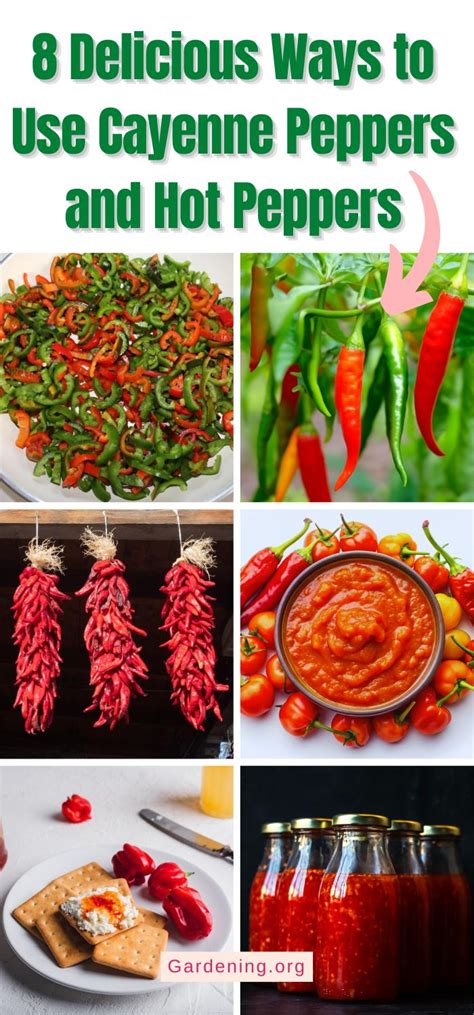 8 Delicious Ways To Use Cayenne Peppers And Hot Peppers Gardening