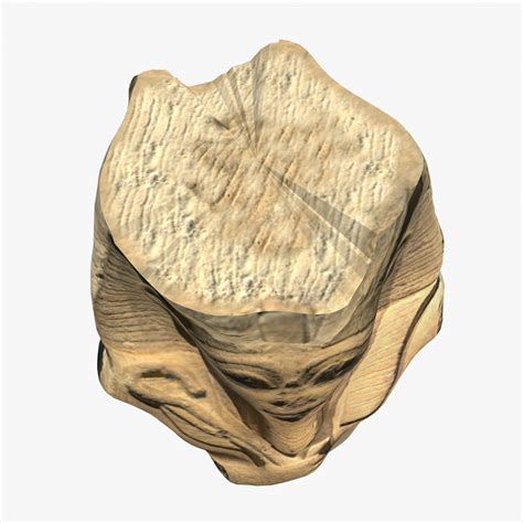 3d Tutankhamun Statue Model