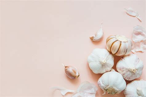 마늘 전구와 정향은 분홍색 배경에 클로즈업 유기농 마늘 탑 뷰 천연 항 바이러스 제 향신료 및 조미료 개념 공간을 복사합니다 0명에 대한 스톡 사진 및 기타 이미지 Istock