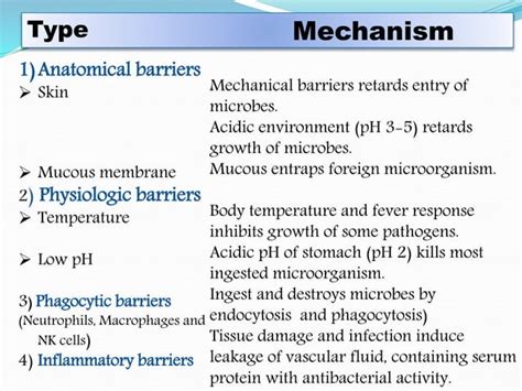 Types Of Immunity PPTX Infectious Diseases Diseases And Conditions