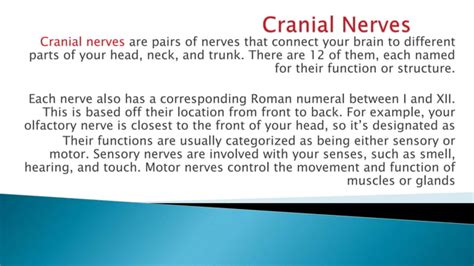 Cranial Nerves Anatomy And Functions PPTX