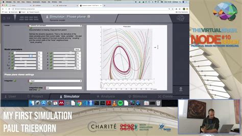 The Virtual Brain Learn My First Simulation With The Virtual Brain