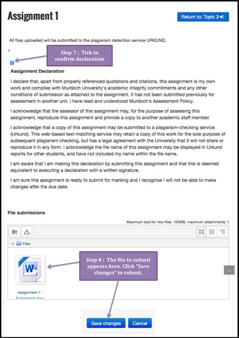 LMS Submitting Assignments