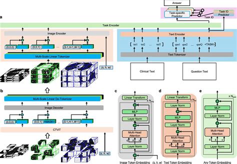 Multimodal Multitask Foundation Model Enhances Lung Cancer Screening And Beyond