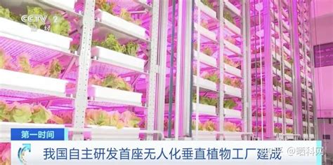 世界首例我国自主研发无人化垂直植物工厂 知乎