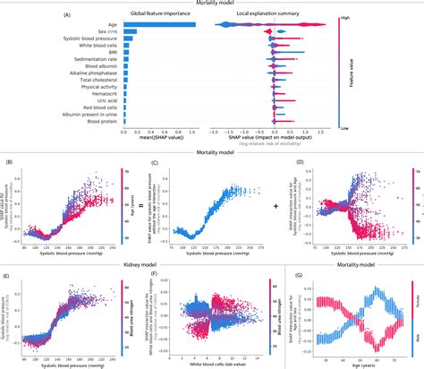 explainable ai for trees from local explanations to global understanding