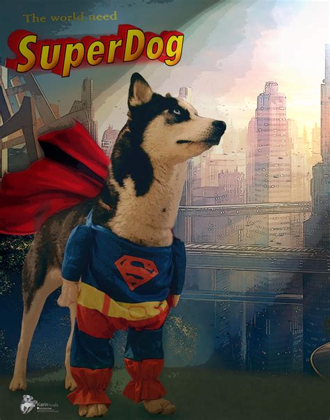SuperDog by KarinMind on DeviantArt