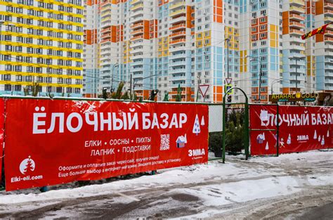 Где можно приобрести елку / Новости / Городской округ Мытищи