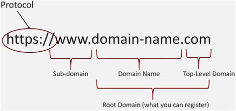 Domain Name Vs Url Whats The Difference