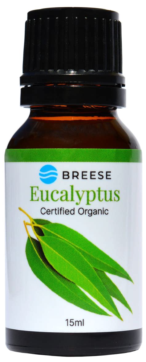 Eucalyptus Essential Oil Breese Organics Breese Essential Oils