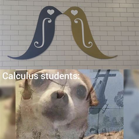 A Meme Page To Check Every Time Matlab Crashes Memecrashes Twitter