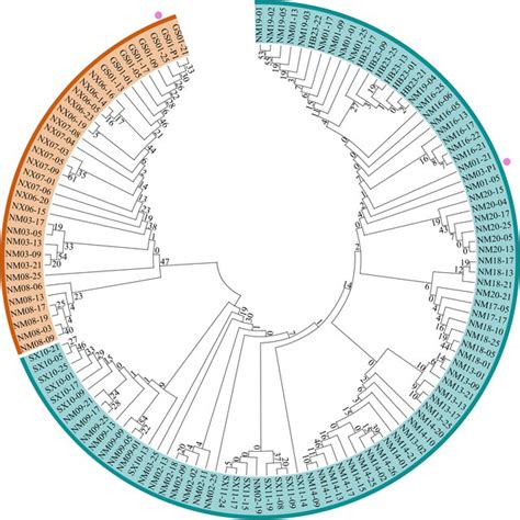 Spatial Population Structure Based On Spatial And Non Spatial Construct Download Scientific