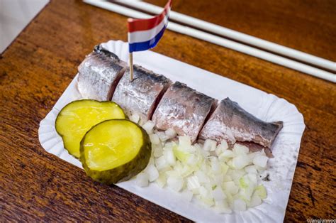 네덜란드 청어 먹고 세계 최장신 국가