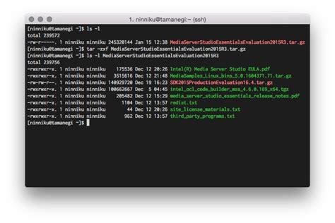 Intel QSVのH 264エンコードをLinuxで