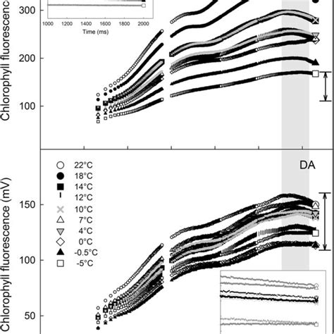 Fast Chlorophyll Fluorescence Ojip Curves Measured In Dermatocarpon Download Scientific