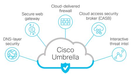 Cisco Umbrella Secure Web Gateway Exclusions Austin Noll