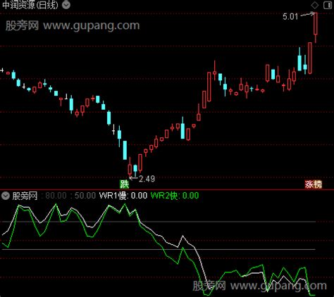 通达信改良威廉指标公式 通达信公式 股旁网