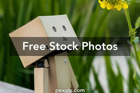 Small Robot With Flower Photos Download The Best Free Small Robot With