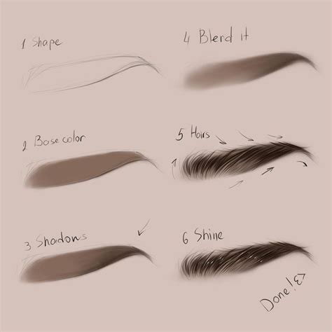 How To Draw Eyebrows Art
