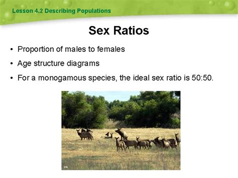 Lesson 4 2 Describing Populations 1900 To 2000