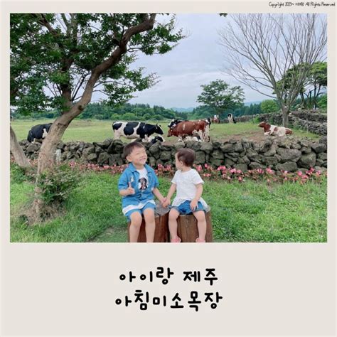 제주도 아이와 가볼만한곳 제주 아침미소목장 카페 먹이주기체험 모래놀이 네이버 블로그