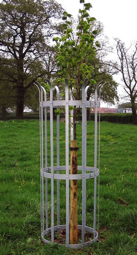 Tree Guard James Wilkinson Bespoke Sculpture Metalwork