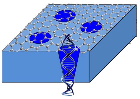 Functional Nanopore Membranes