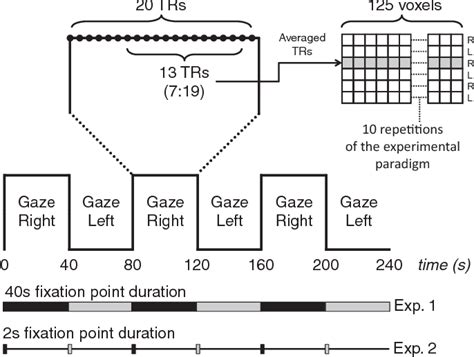 Figure 1 From Representation Of Eye Position In The Human Parietal Cortex Semantic Scholar
