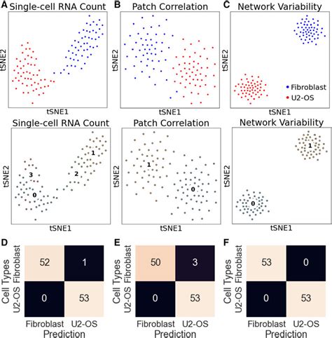 patch correlation and gene neighborhood network variability achieve
