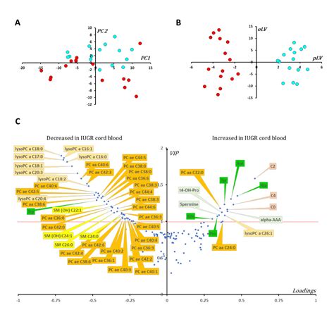 Multivariate Statistical Analysis Of The Metabolomic Data From Cord