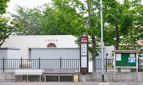 いつも帰るところにおしょろ丸の予備の錨たち いいねHokudai