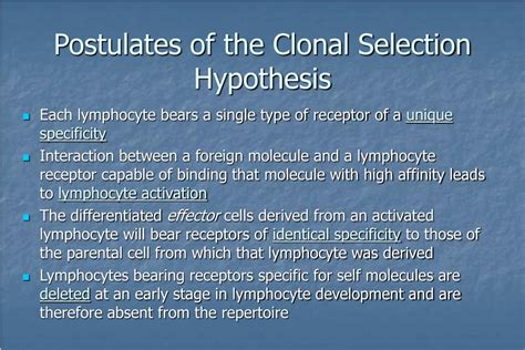 Ppt Lecture 15 Antigen Recognition Powerpoint Presentation Free