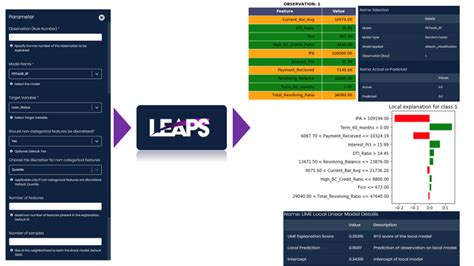 Demystifying Lime Xai Through Leaps By Analyttica Datalab Medium