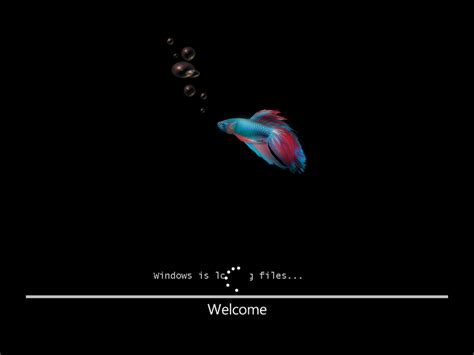 Filebug Windows 8 Build 7997 Garbled Boot Screenpng Betawiki