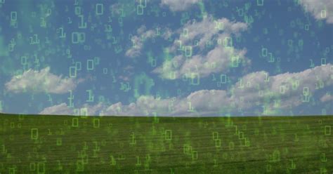 Beware Windows Xp Users The Operating Systems Source Code Has Just