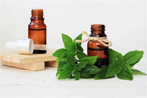 Zipantola Tablete 20 40 Mg Djelovanje Nuspojave Cijena Iskustva Arz Hr