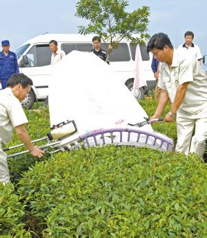 智能采茶机器人 自动 手提 第10页 大山谷图库