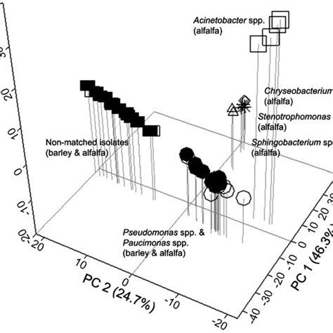 Principal Component Analysis Of Biolog Substrate Utilization Patterns Download Scientific