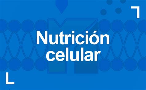Nutrición Celular El Sustento Vital En El Mundo Microscópico Lourdes