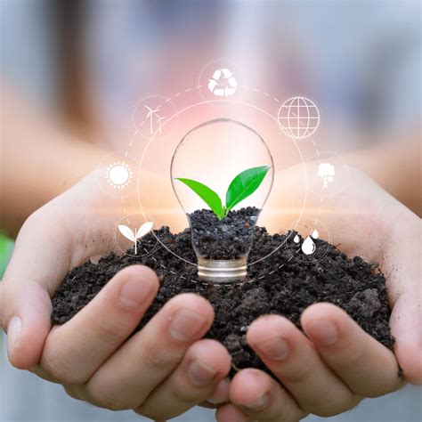 ¿cuánto Cuesta Un Estudio De Evaluación De Impacto Ambiental Eia